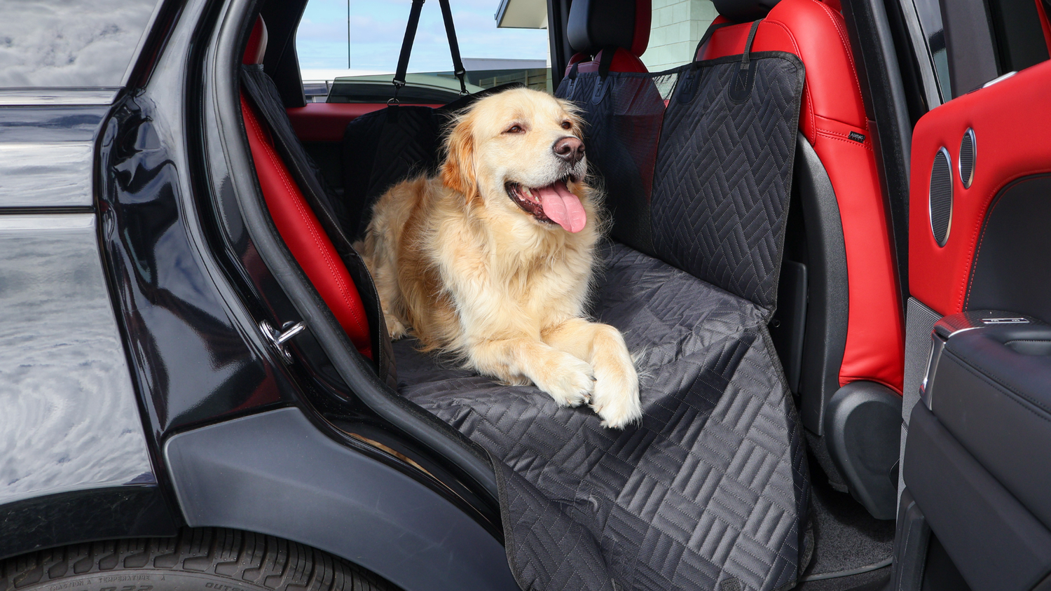 Maple & Co - Dog Car Seats!